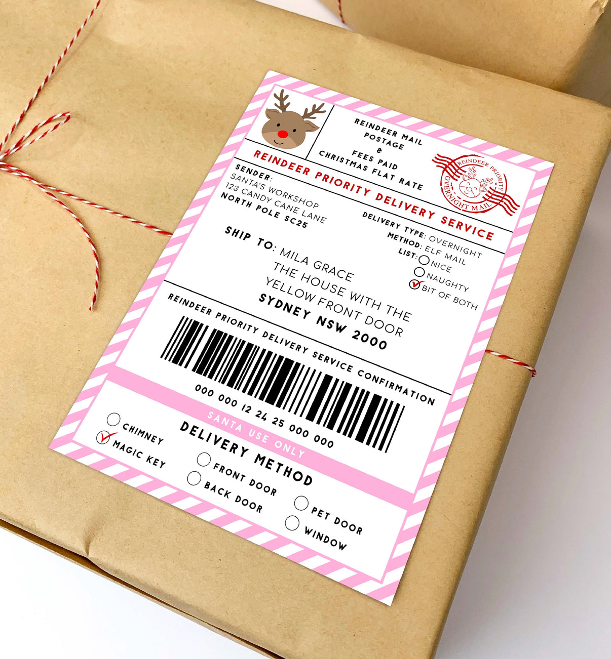 Santa's Workshop Pink | Printable Reindeer Christmas Shipping Label Te ...