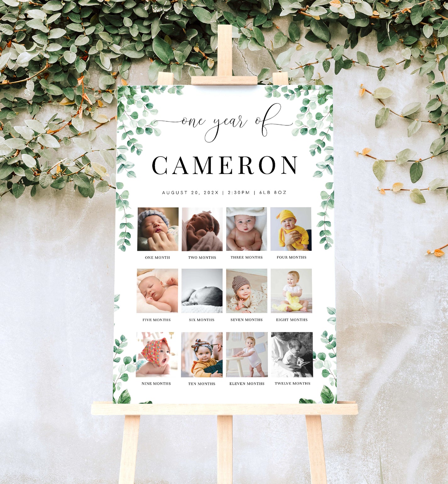 Ferras Greenery | Printable First Year Photo Timeline Sign Template ...